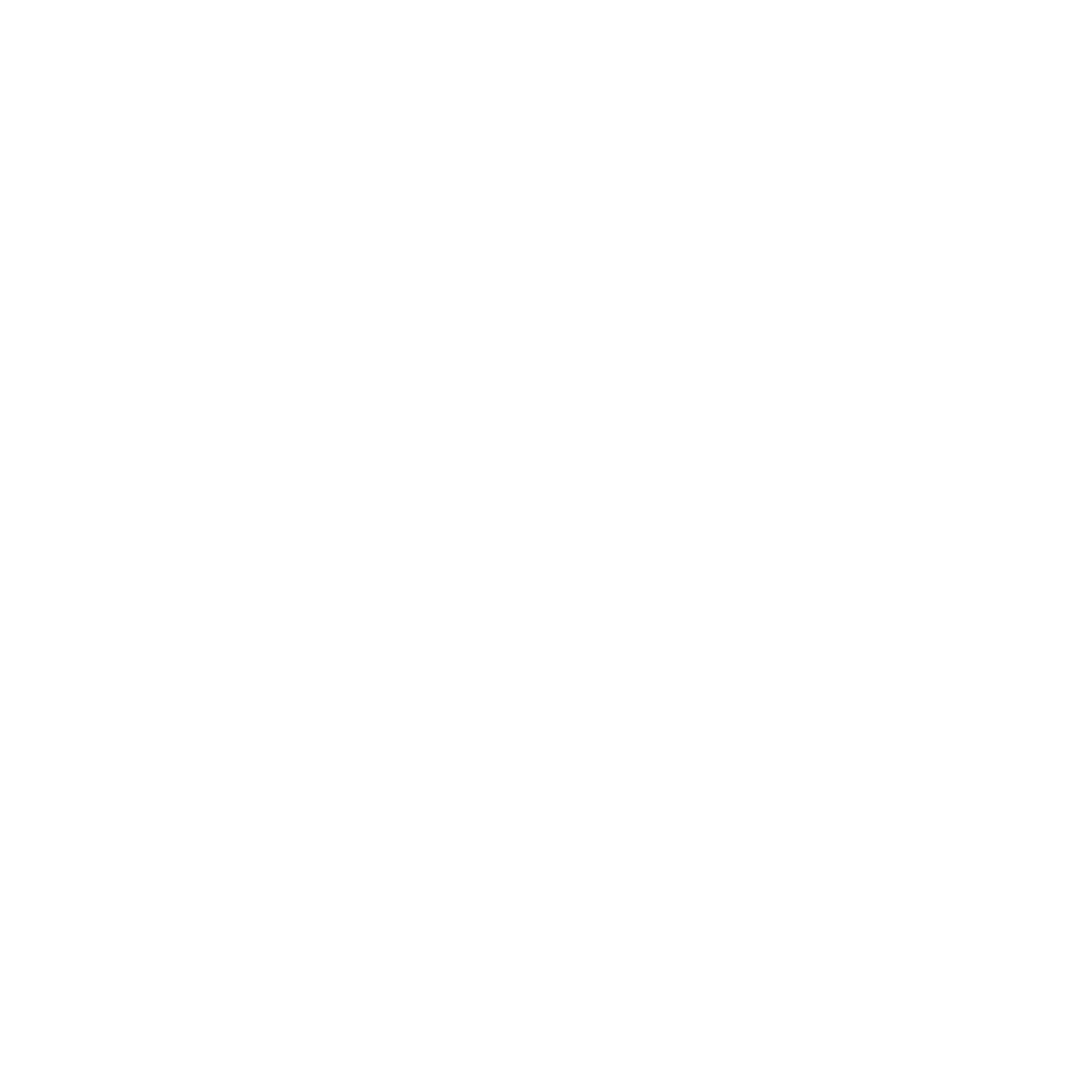 Summit Vans - Custom Built Travel Vans